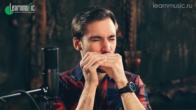 Урок по губной гармонике _ Динамика. Паклин А.