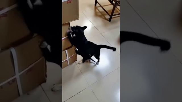 Распаковка коробок в ОЗОНЕ