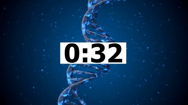 Computer literacy (Гаджиева)