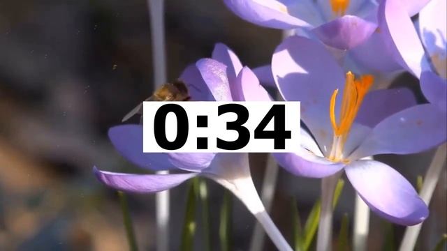 SLEEP (Светлана Рудкевич)