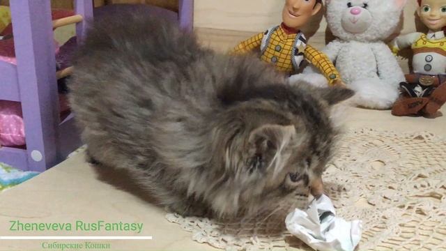 Zheneveva  RusFantasy