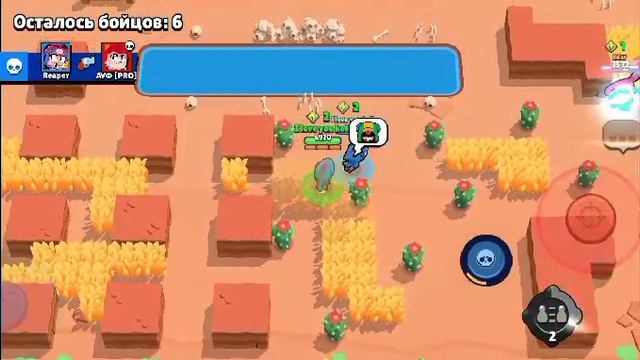 шд на леоне