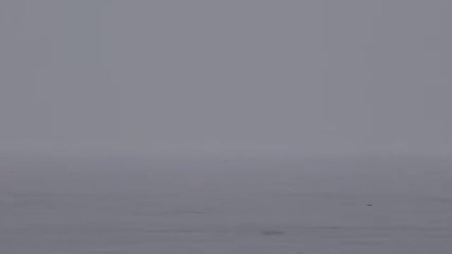 ОСТАВАЙСЯ ЛЕГКИМ. Медитация с Юлией Лагун. Октябрь 2016г.