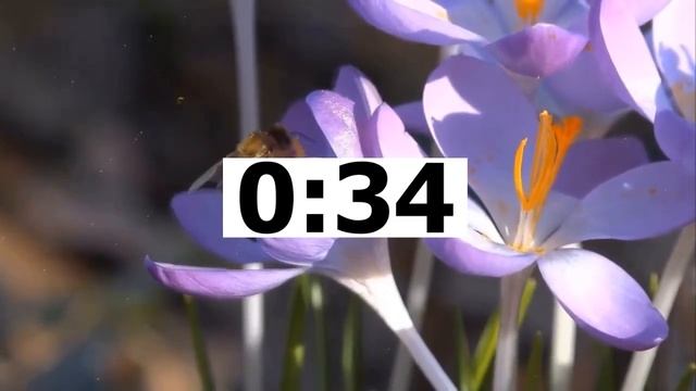 HEALTH ISSUES (Решу ЕГЭ)