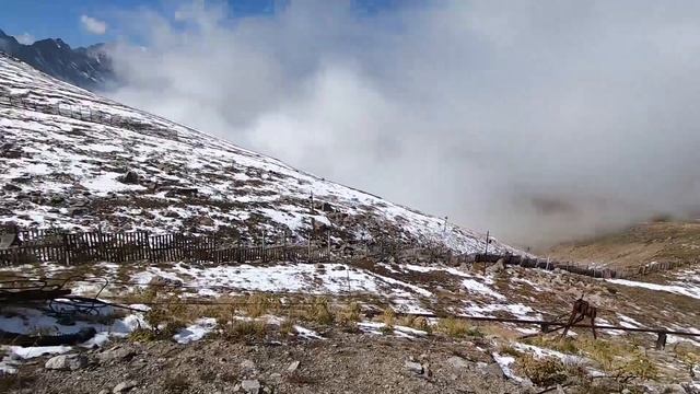 На пикапе в Казахстан #16 - Пик "ТУРИСТ"