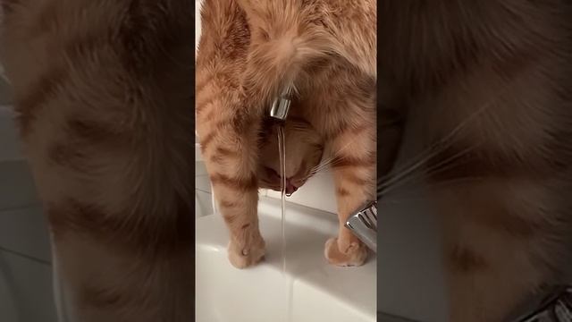 Раз так пью значит удобно