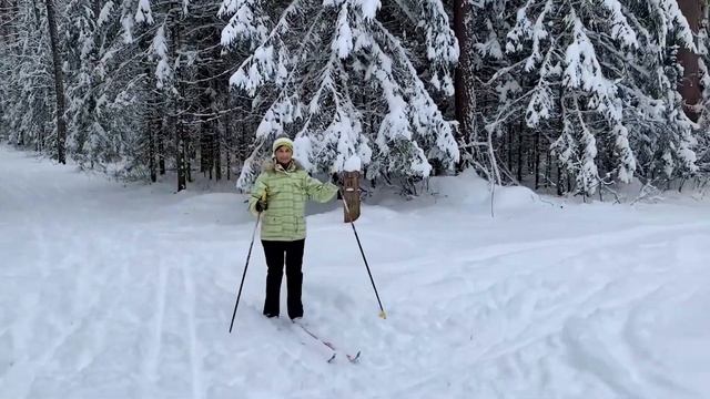 Лыжная прогулка. Создание альфа-канала в Premiere Pro