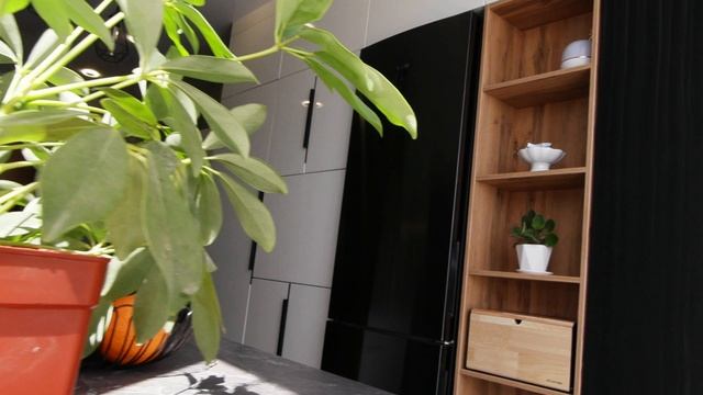 Видео о Махаон. Кухни_06.2022