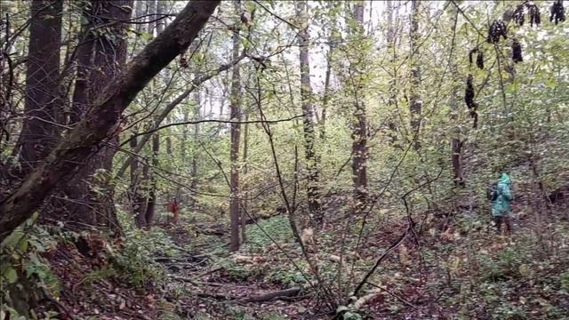 Пеший поход к древним городищам в Угранском районе  Содружество двух каналов