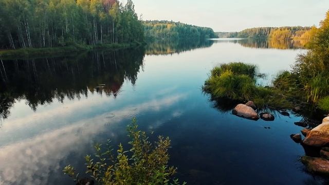 Карелия. Озеро в лесу. Релакс. 4К
