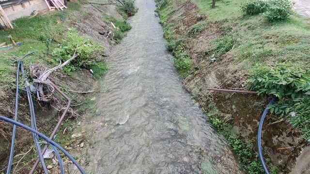 Пицунда.Гавнотечка VID_20240923_135800