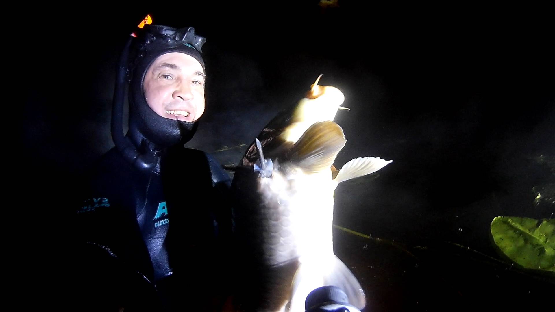 Ночная подводная охота на карпа.