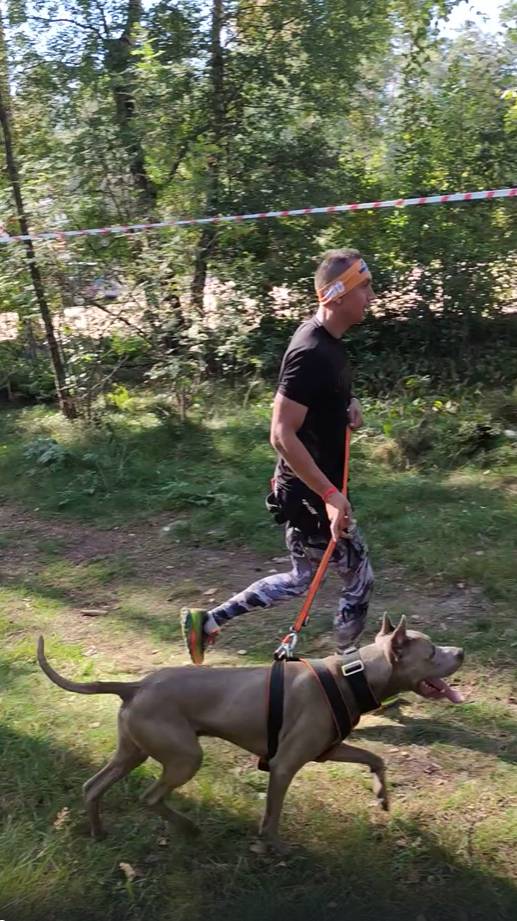 Барьеры Триада и Канистры. Nord Dog Race 07.09.24. Забег с собаками