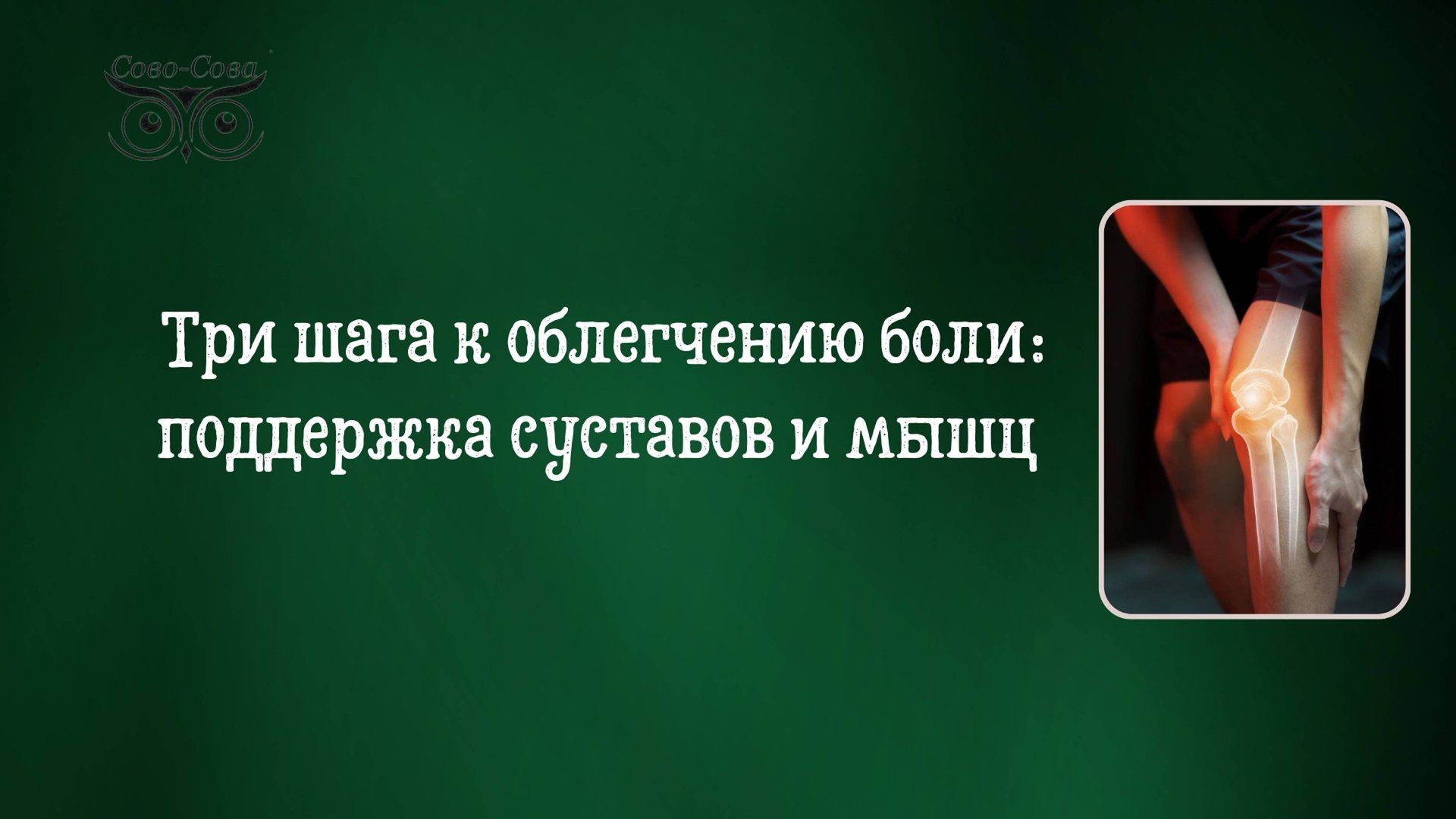 Поддержка суставов и мышц с продукцией Сово-Сова