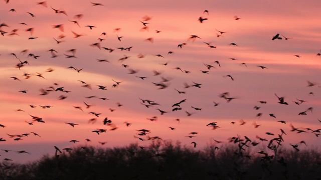 Непреходящая песнь Божьей любви