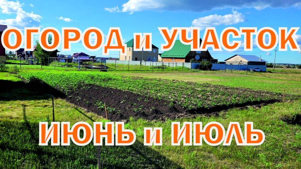 Дела на участке в июне и июле