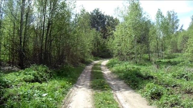 На берегах Осьмы  Деревня Станище Вяземского района