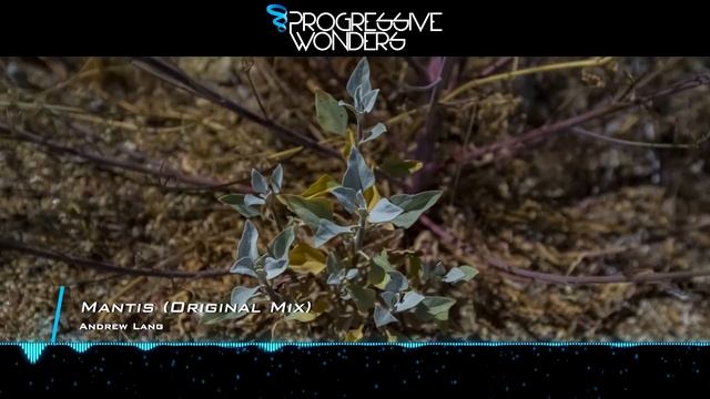 Andrew Lang - Mantis (Original Mix) [Music Video] [Emergent Shores] (1)