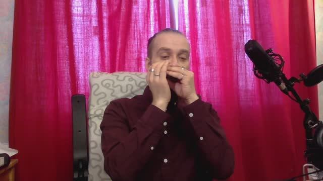 Как играть на губной гармошке_ обертоны, контроль тембра_ Б.Плотников