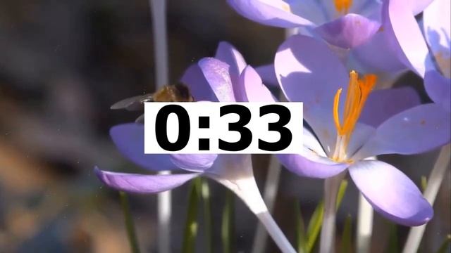 HEALTH (Решу ЕГЭ)