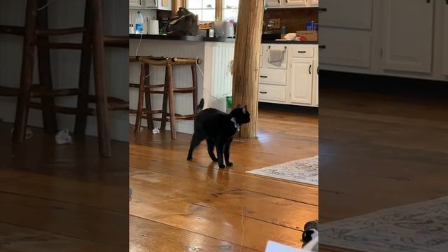 Перезагрузка в матрице