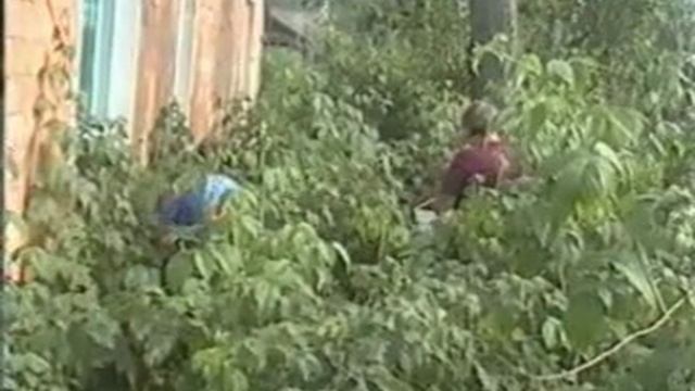 Оксанина мама