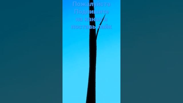 Рисуем лес# less # рисунок # лес