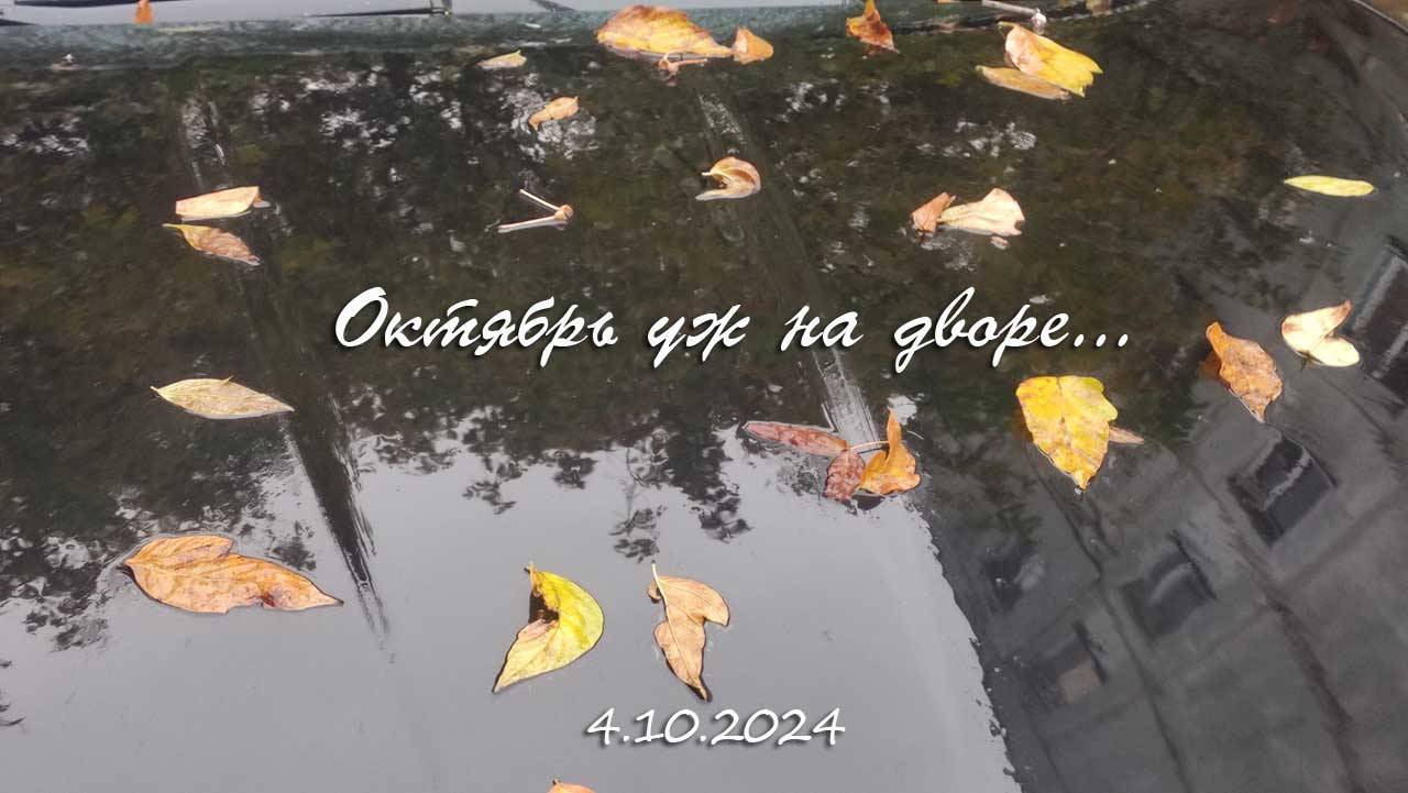 Началась настоящая осень, резко похолодало и дождь. Но у природы нет плохой погоды!  4.10.2024
