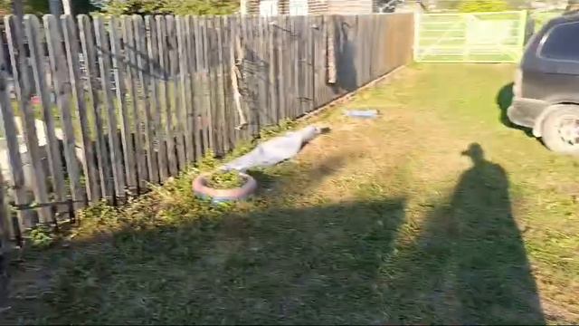 Ивановская обл., Ильинский р-н, Щенниковское сельское поселение, д. Щенниково,продам дом.1