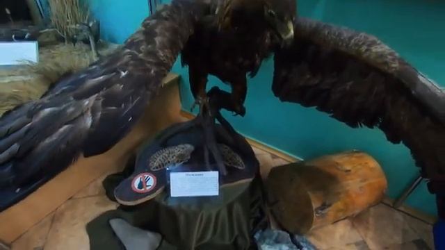 Уехал на Дальний Восток. Гуляю по Белогорску, городу на Транссибе