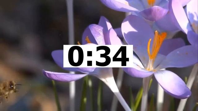 HEALTHY LIFESTYLE (Вербицкая вариант 10)