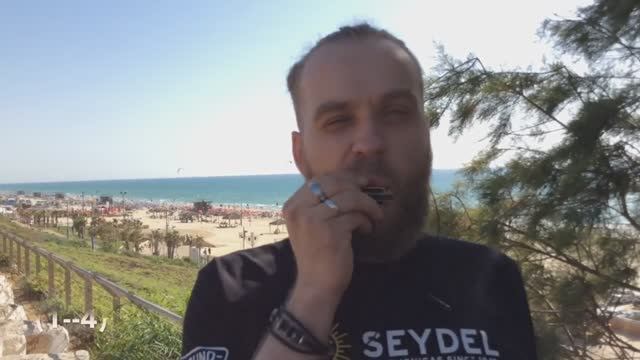 Как играть на губной гармошке_ октавы и разделенные интервалы. Б.Плотников