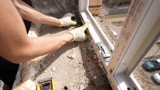 Видео о Махаон. Окна_04.2023