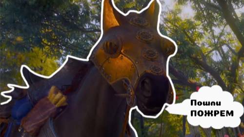 Ведьмак 3 Дикая Охота, квест о чем говорят кони, разговоры с плотвой