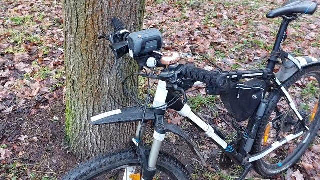 Crane Suzu Brass Bicycle Bell & Sigma Infinity Rear Light