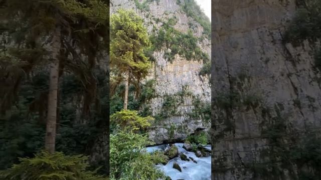 Дорога на оз Рица