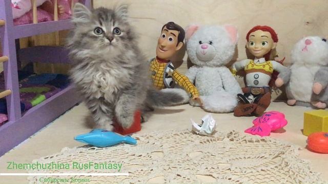 Zhemchuzhina RusFantasy