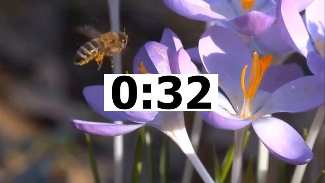 A HEALTHY LIFESTYLE (Светлана Рудкевич)