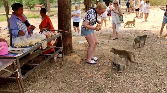 Деревня мартышек при буддийском храме в Таиланде