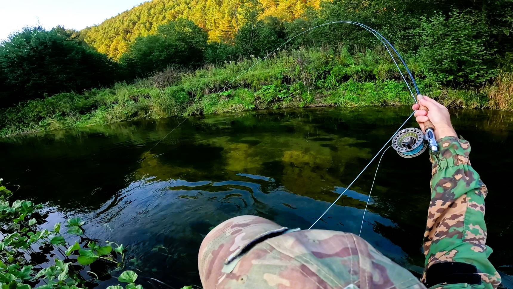 ПОПАСТЬ В МОЩНЫЙ ЛИВЕНЬ ИЛИ ЖАРЕННЫЙ ХАРИУС