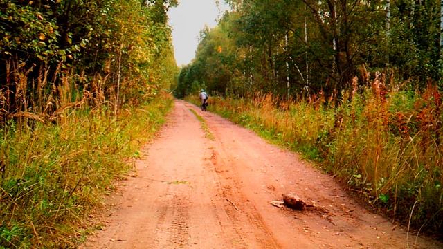 Поездка на заброшенную железную дорогу ст Угра д. Екимцево Часть 1