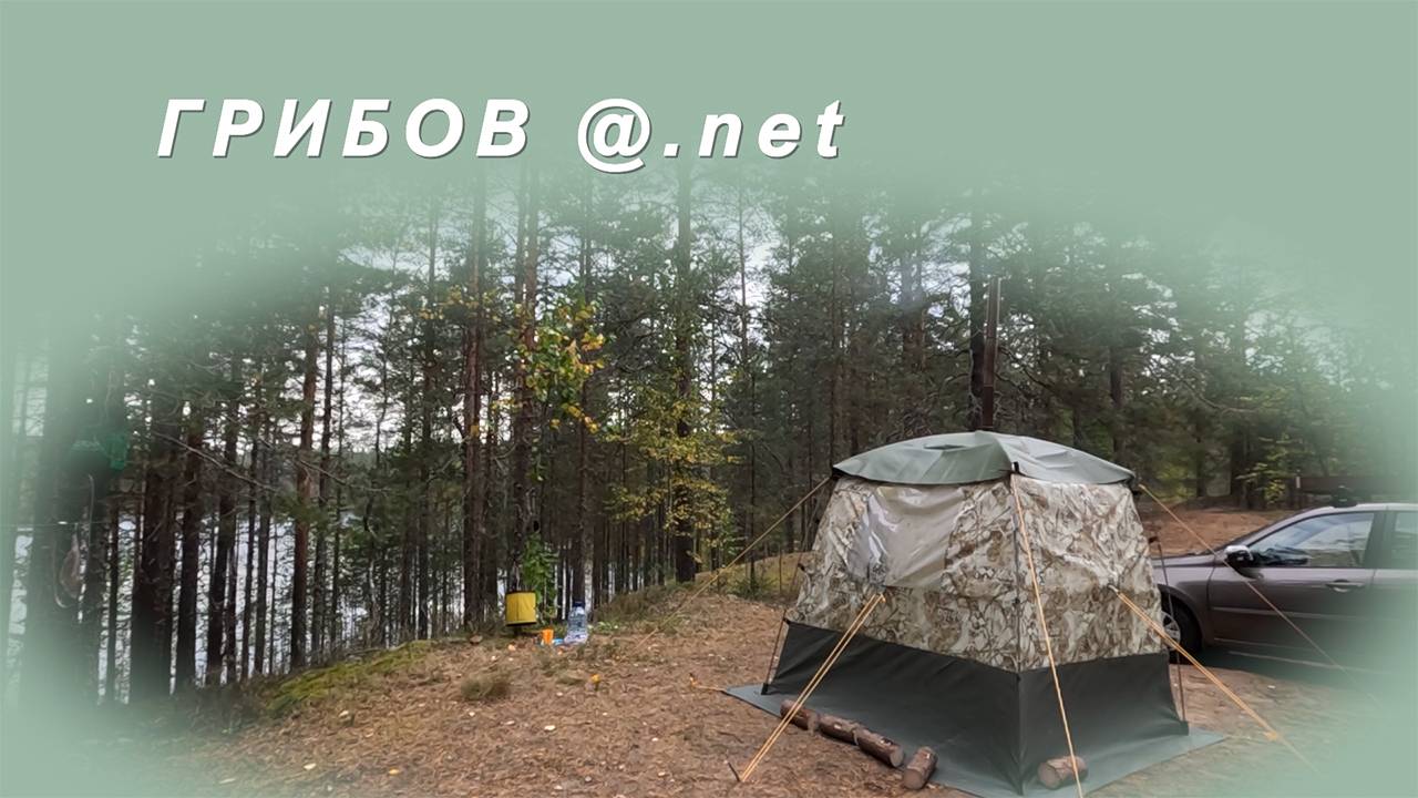 О том, что делают настоящие грибники, когда грибов нет.