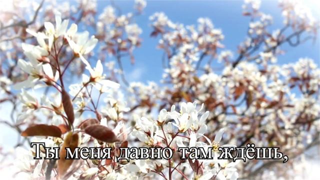 песня Там где ты исполнитель Елена Жвакина 09 2024