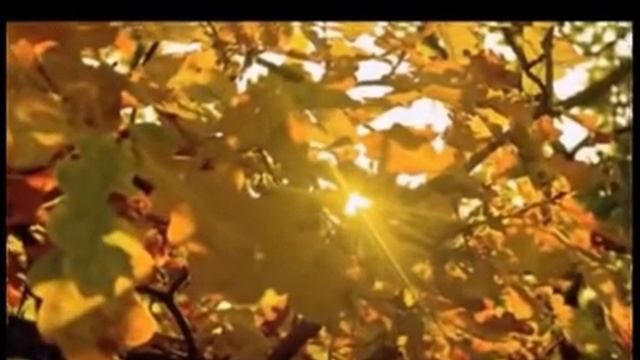 Гроза..., Стихи Елисей Липатов, муз. и исп. #СамуилФрумович