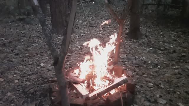 ПВД и проверка СХРОНА а лесу