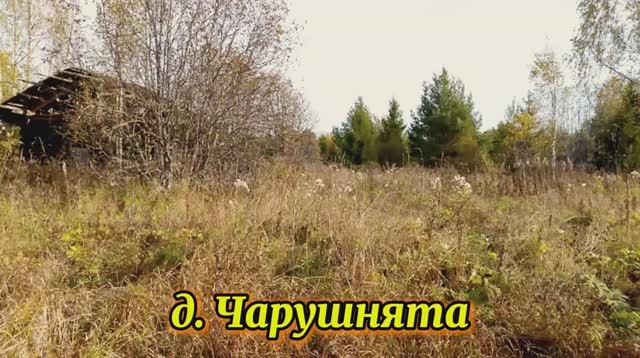 Деревня Чарушнята (Чарушниковы).mp4
