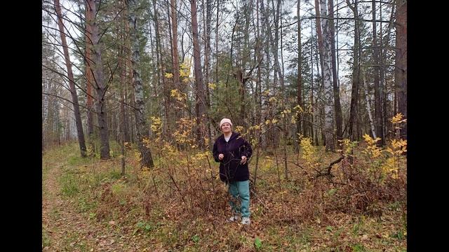 Чудо природы Чёрная береза в Новом. Полюбуемся красотами осени 2024 г