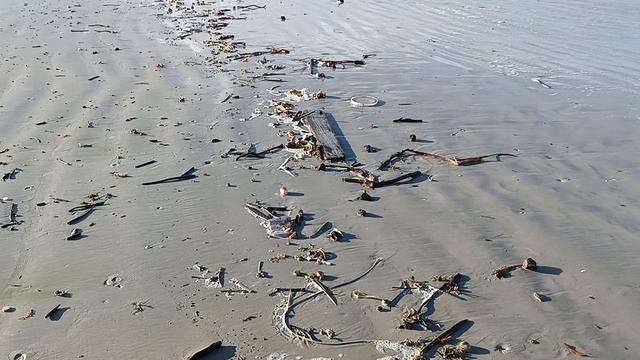 Ужас. Как люди загрязняют море.