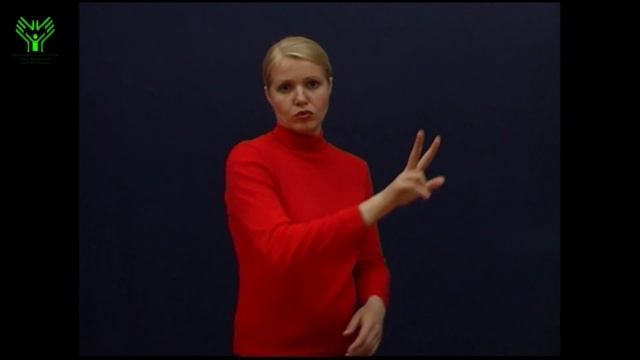 (011) На всякий случай. Словарь лексики русского жестового языка