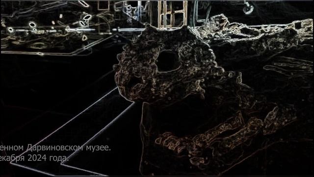 Суровый оскал пермского периода - новая выставка Вятского палеонтологического в Дарвиновском музее